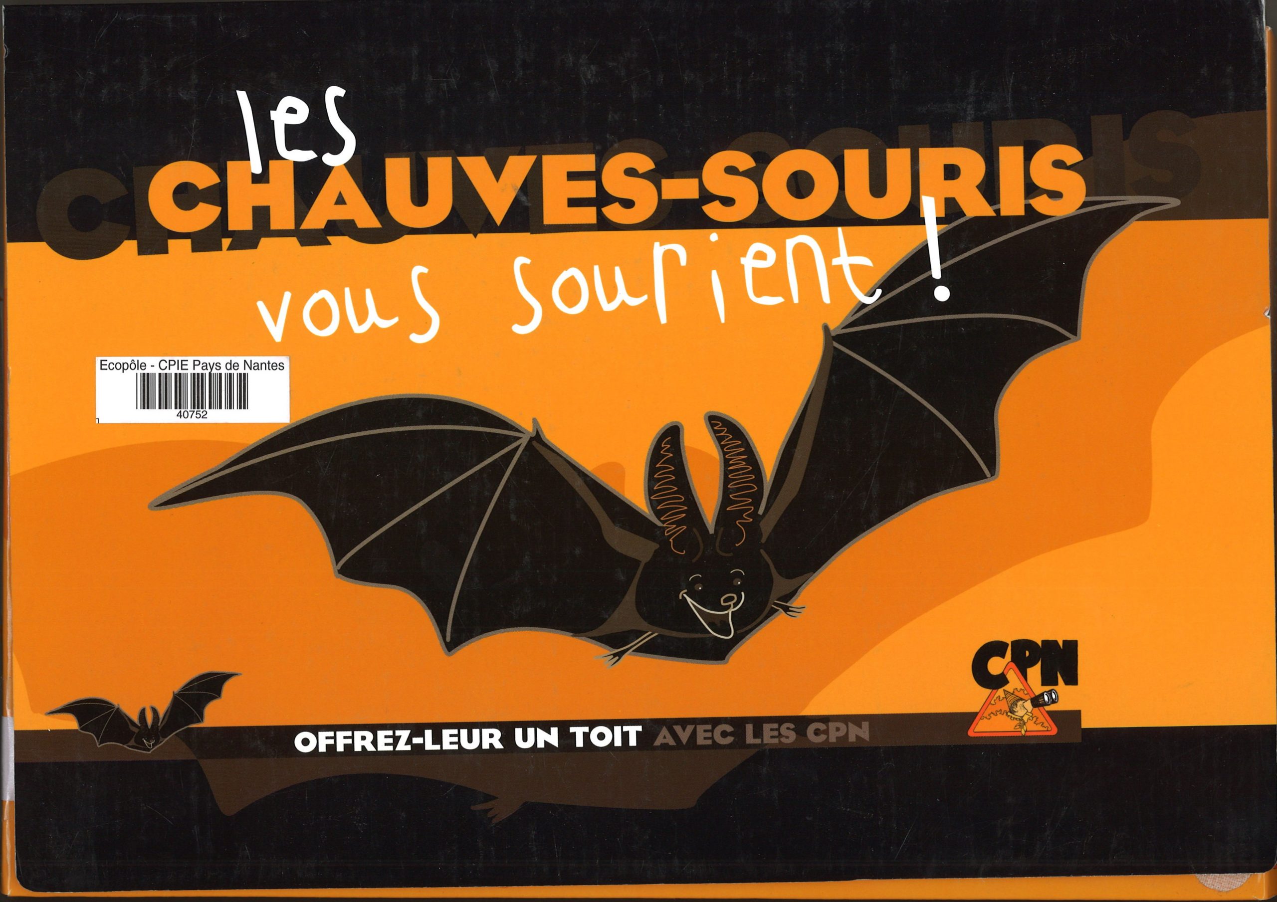 Les chauves-souris vous sourient - Graine BFC